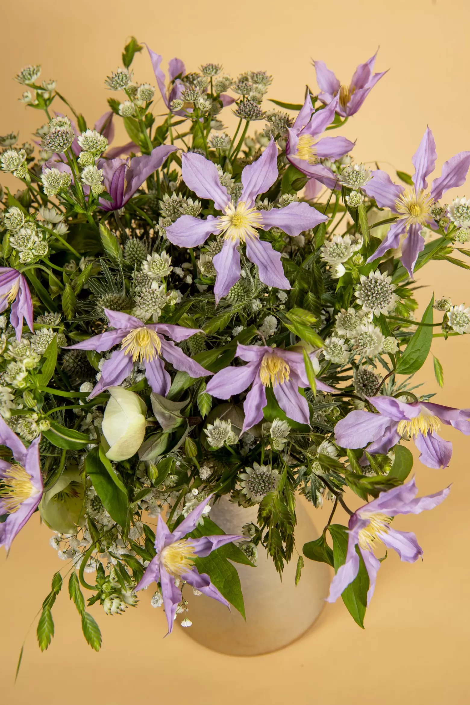 Clematis Amazing® London | Marginpar